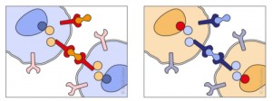 Colors in scientific figures – IlluScientia: scientific illustration ...